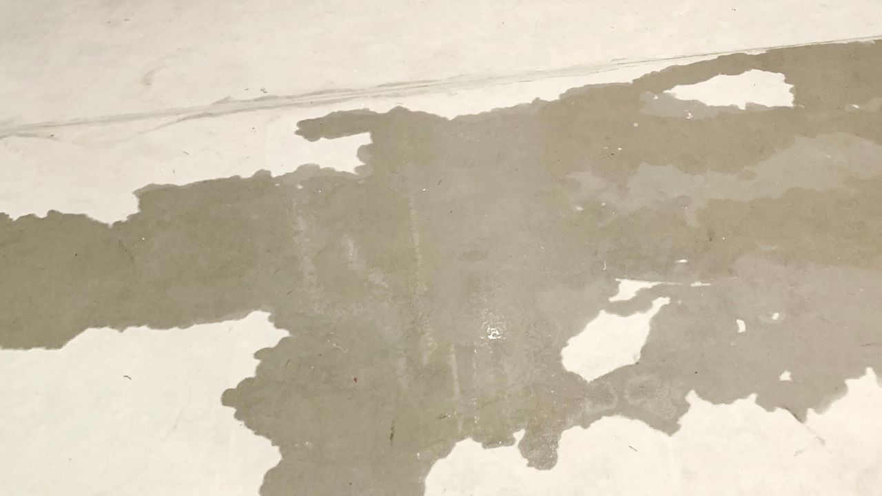 House Leaking In Basement: How Landscape Grading Prevents Water Damage ...